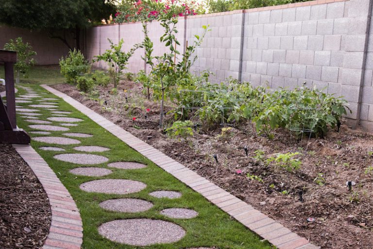 Edible Gardening 101 – How to Start Your Garden – Smarty Pants Mama